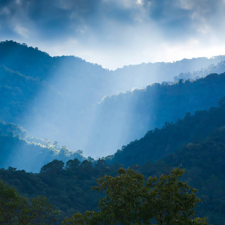 Shareholder Activism Update: Early Look at 2023 Trends | Lazard