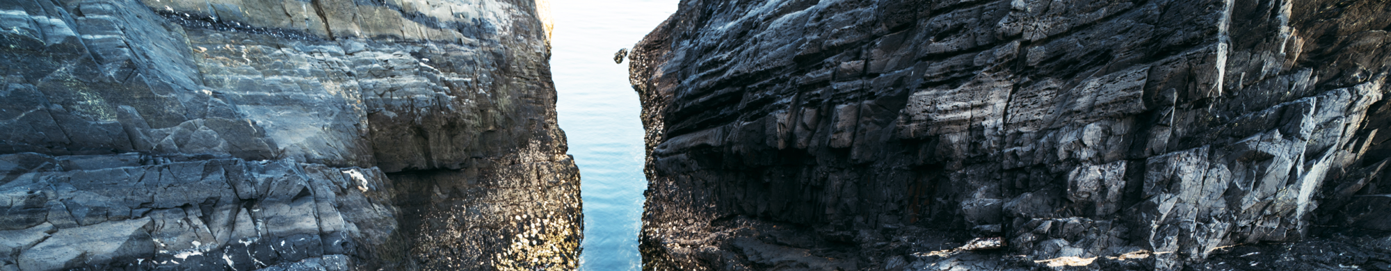 Research & Insights | Lazard