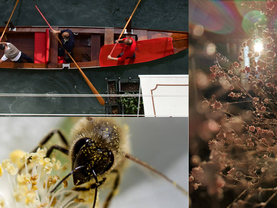 Inside Lazard | Lazard